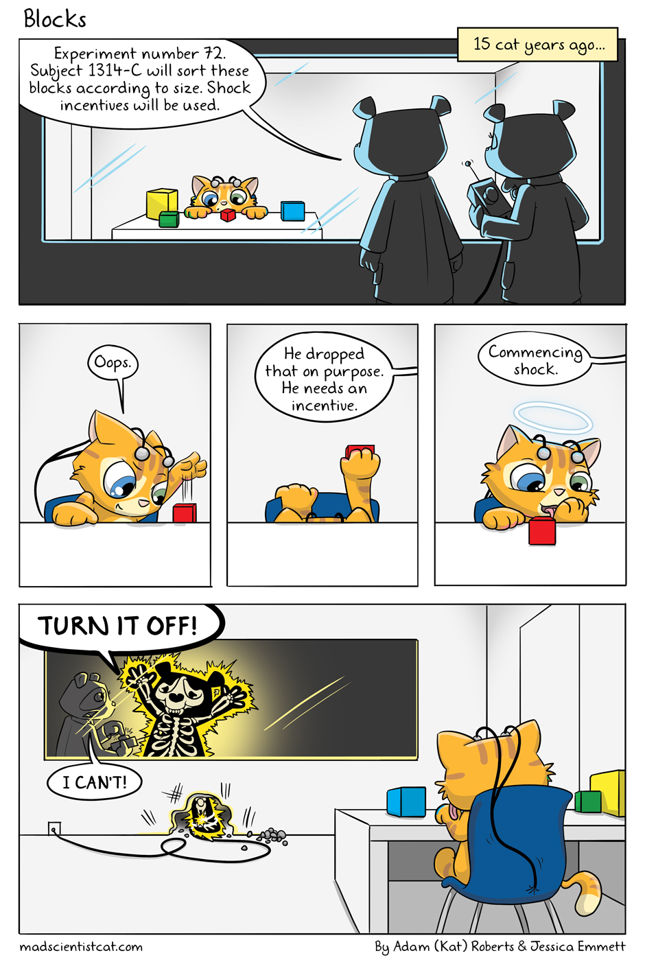 Blocks - Mad Scientist CatMad Scientist Cat Blocks - Mad Scientist CatMad Scientist Cat