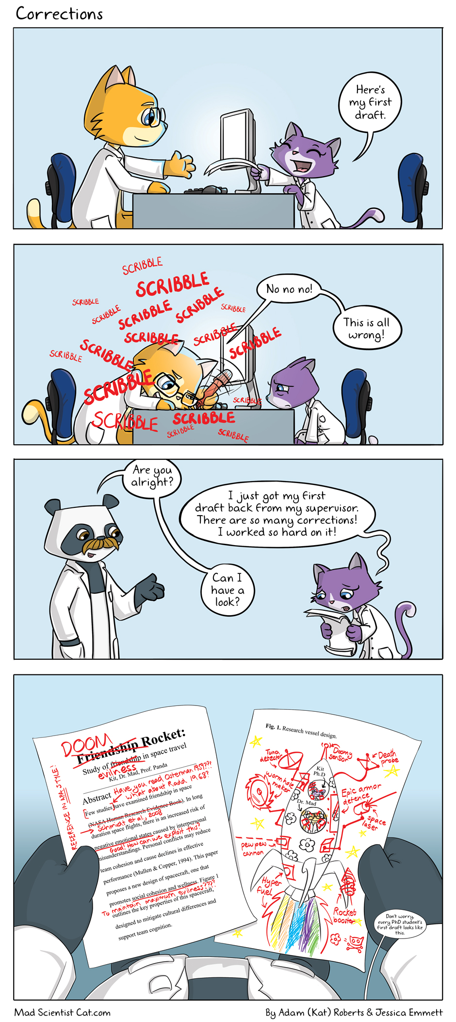 Corrections - Mad Scientist CatMad Scientist Cat