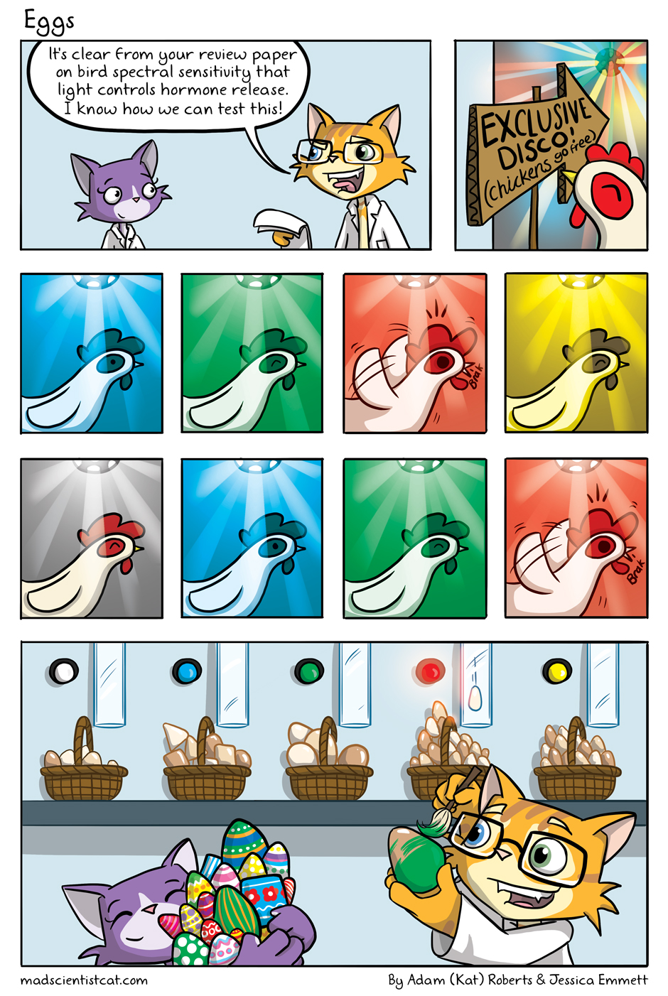 Eggs - Mad Scientist CatMad Scientist Cat