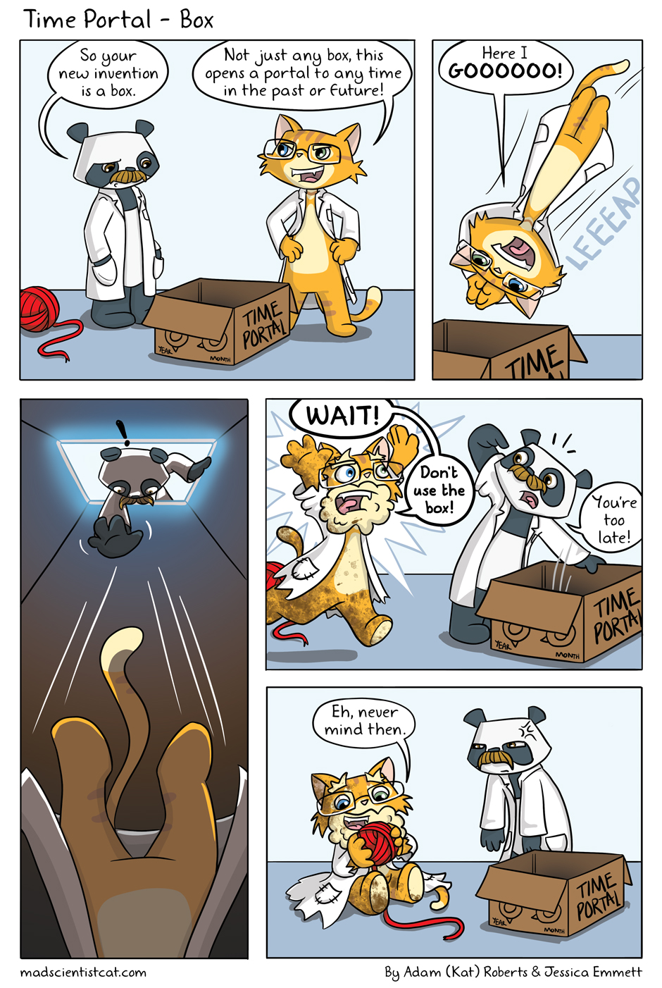 Time Portal - Box - Mad Scientist CatMad Scientist Cat
